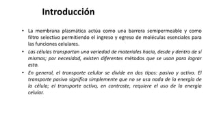Transportadores abc | PPTX
