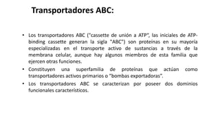 Transportadores abc | PPTX