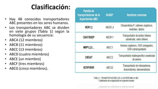 Transportadores abc | PPTX