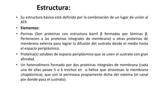 Transportadores abc | PPTX