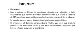 Transportadores abc | PPTX