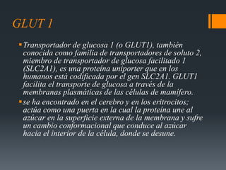 Transportadores de la glucosa | PPTX