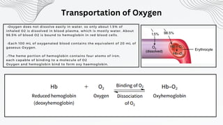 Transport and exchange of gases.pdf with oxygen dissociation curve | PPT
