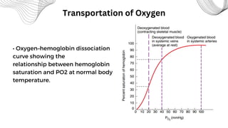 Transport and exchange of gases.pdf with oxygen dissociation curve | PPT