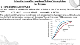 Transport and exchange of gases.pdf with oxygen dissociation curve | PPT