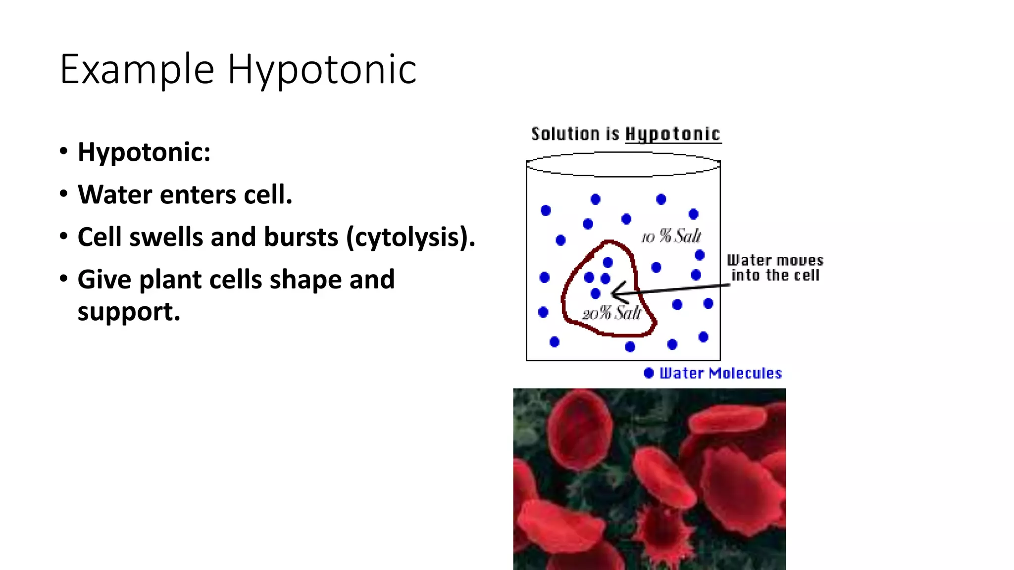 Transport and transport protein in cell biology | PPTX