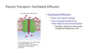 Transport and transport protein in cell biology | PPTX