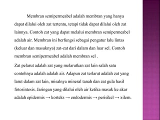 Transportasi dalam tanaman | PPTX