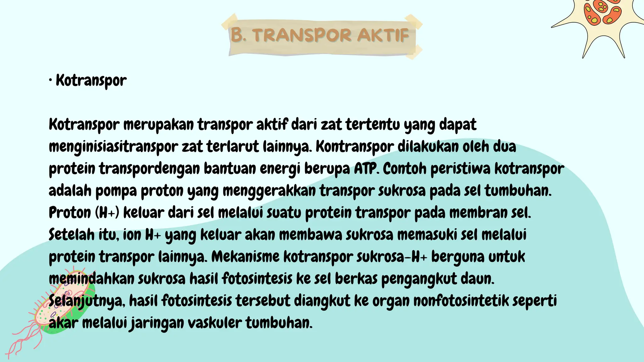 Transportasi antar membran sel (kel 1).pdf