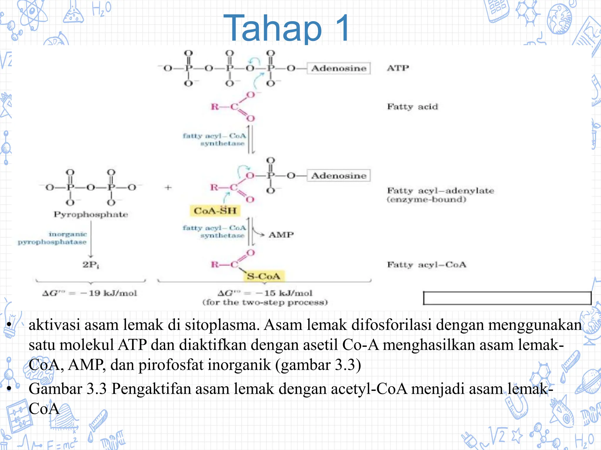 Transportasi Lipid klmpok 1-Transportasi Lipid.pptx