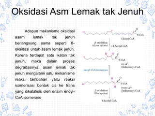 Transportasi Lipid klmpok 1-Transportasi Lipid.pptx