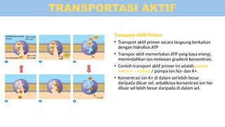 MATERI BIOLOGI SEL - TRANSPORTASI SEL.pptx