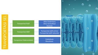 MATERI BIOLOGI SEL - TRANSPORTASI SEL.pptx