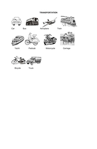 Transportation | DOCX