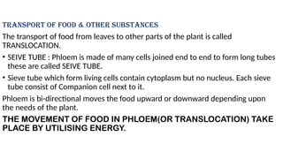 Transportation In Plants through Xylem & Phloem tissues.pptx