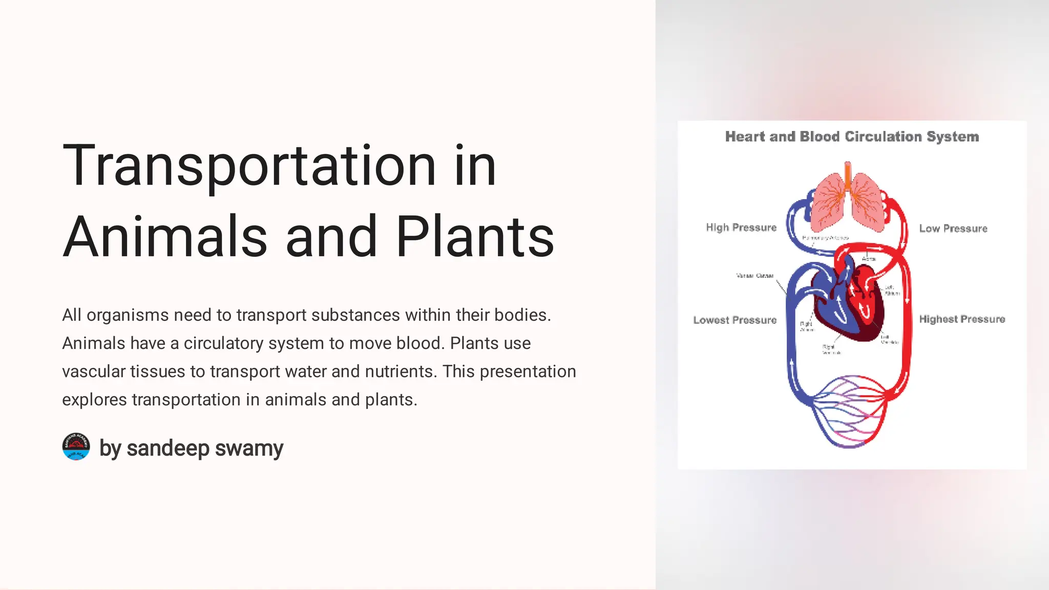 Transportation-in-Animals-and-Plants NOTES 7TH CLASS SCIENCE | PDF
