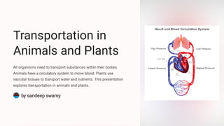 Transportation-in-Animals-and-Plants NOTES 7TH CLASS SCIENCE | PDF