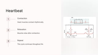 Transportation-in-Animals-and-Plants NOTES 7TH CLASS SCIENCE | PDF