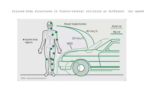 transportation-injuries.ppt