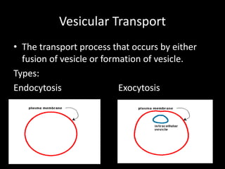 Transportation across cell membrane | PPTX