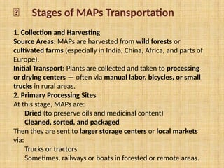 Transportation_and_Marketing_in_MAPs.pptx