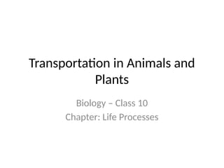 Transportation_Class10_Biology.pptx life processes | PPTX