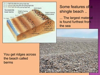 Transportation Deposition | PPT