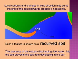 Transportation Deposition | PPT