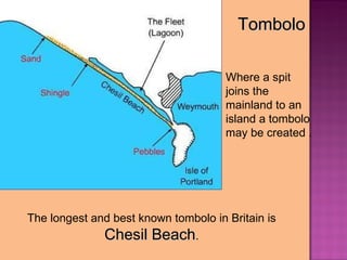 Transportation Deposition | PPT