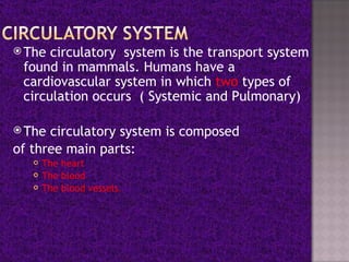 Transportation in animals | PPT