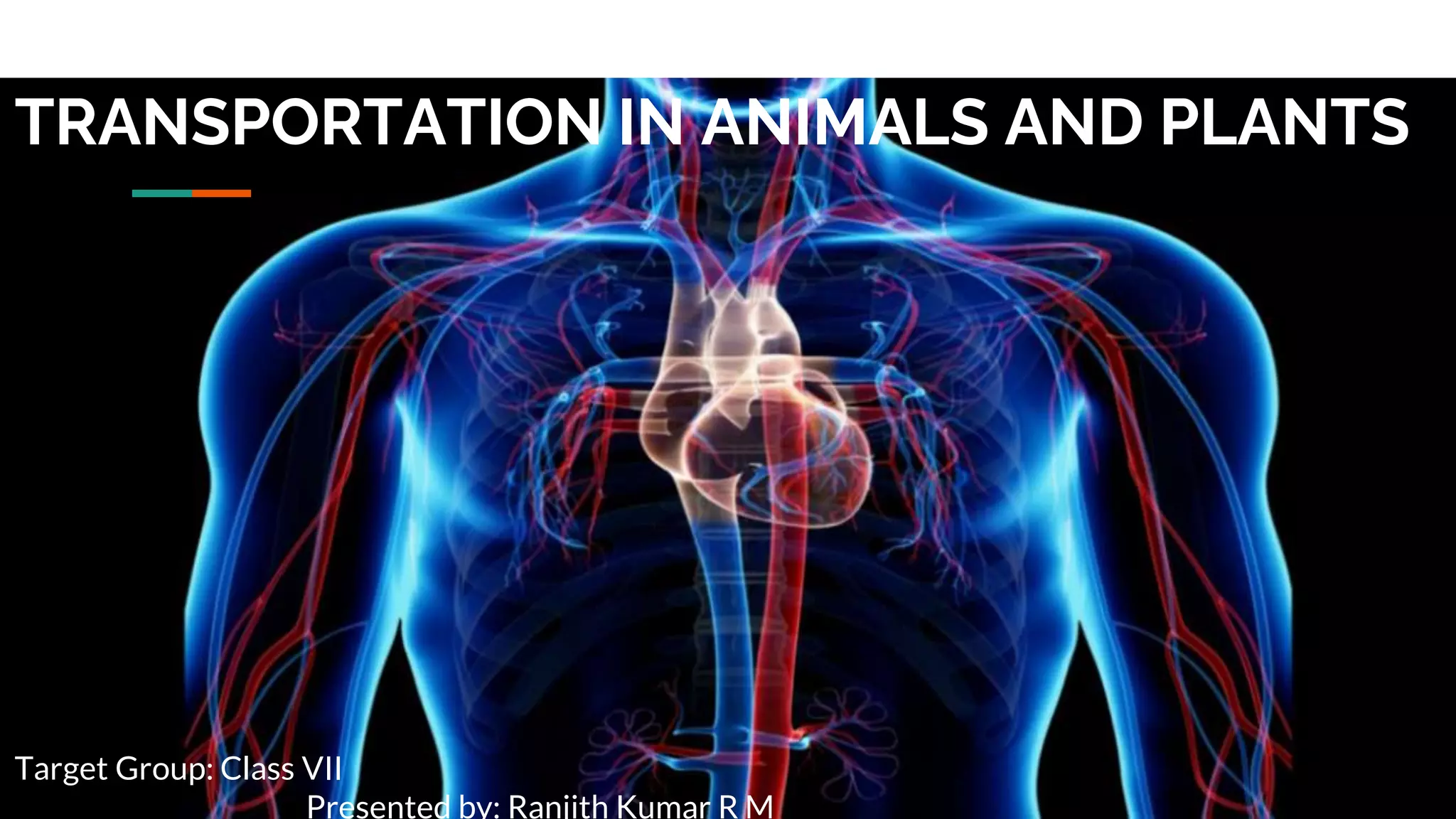 Transportation in animals and plants | PPTX