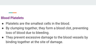 Transportation in animals and plants | PPTX