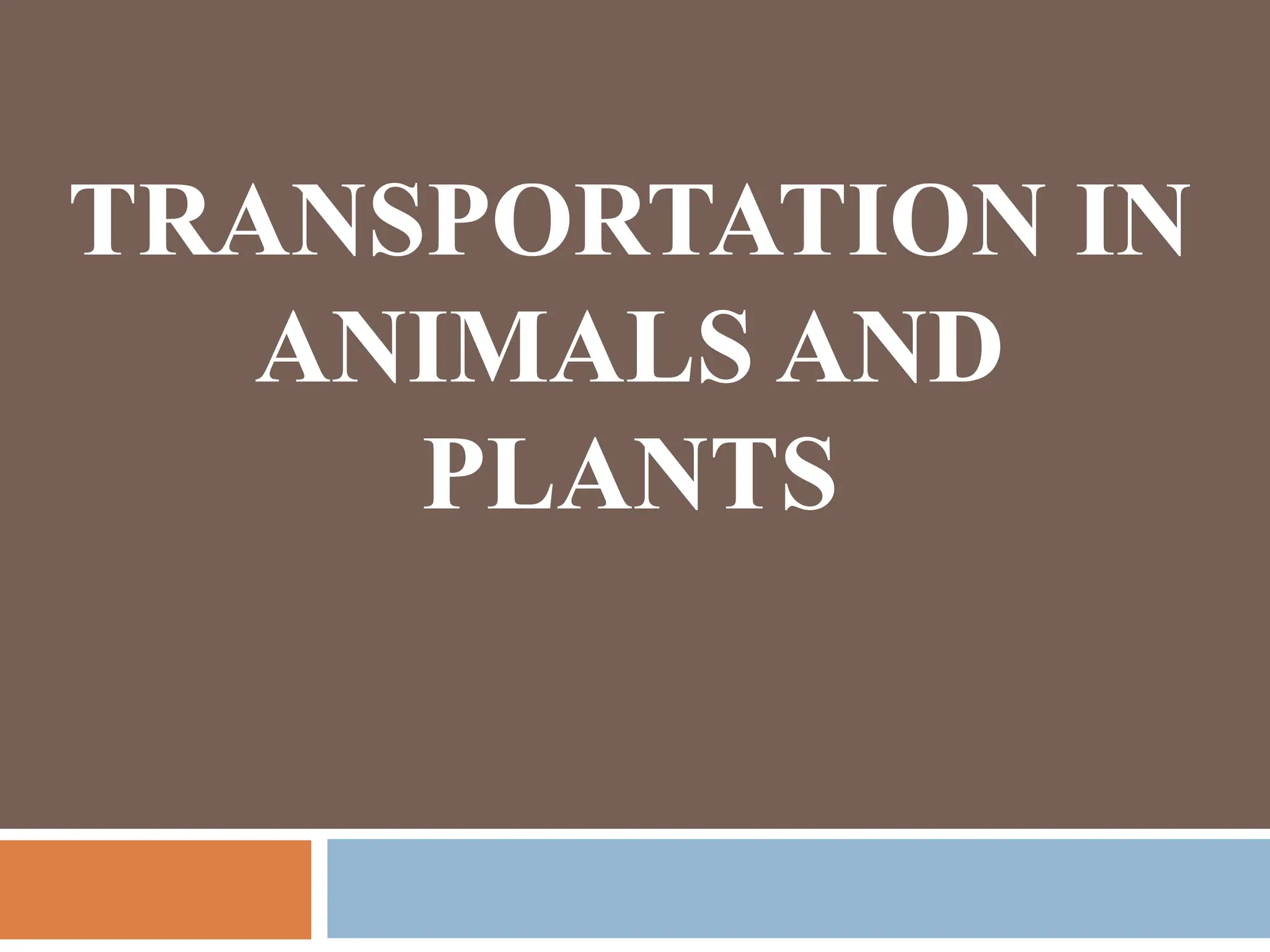 TRANSPORTATION IN ANIMALS AND PLANTS.pptx
