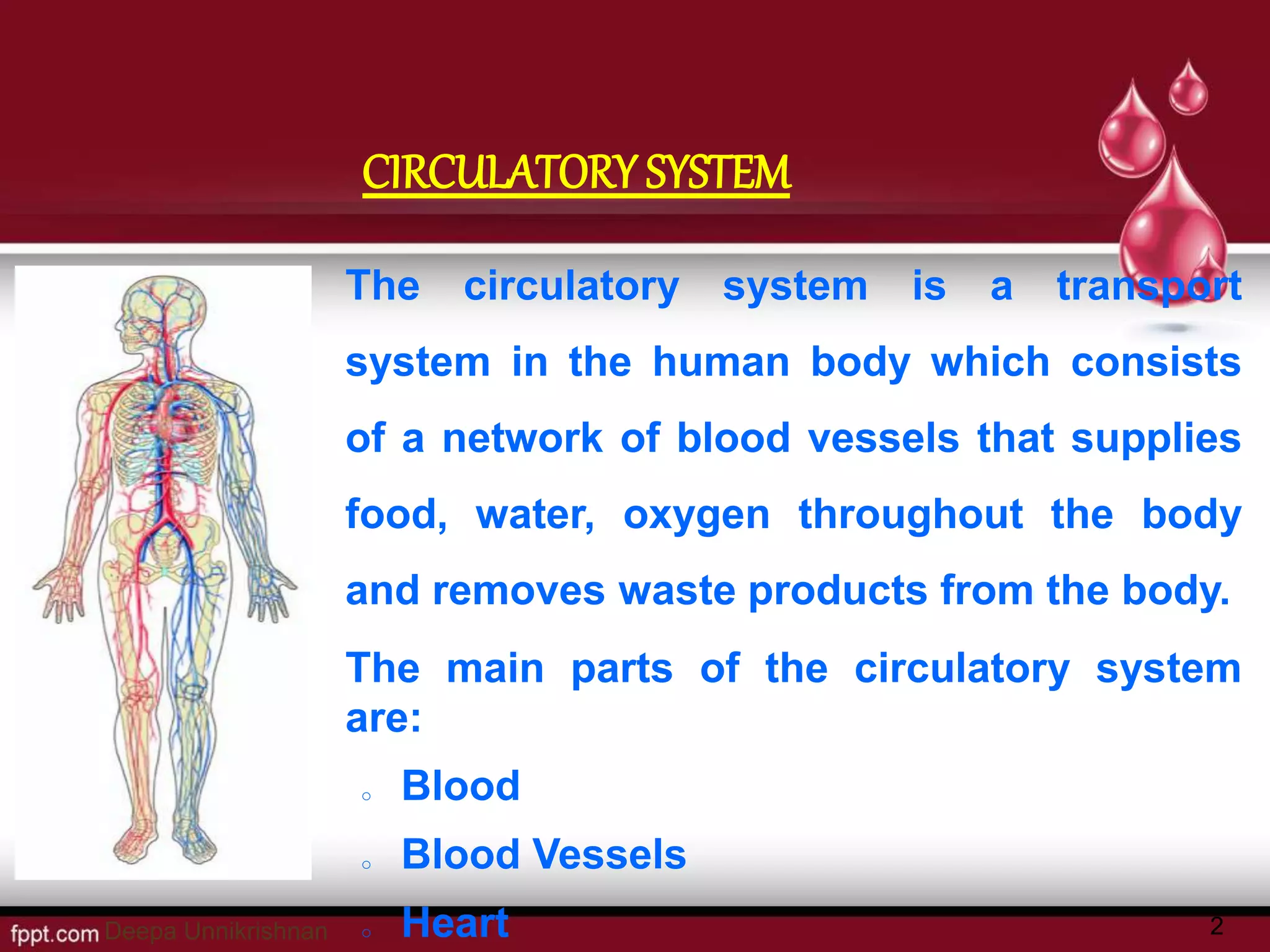 Transportation in animals and plants CLASS VII | PPT