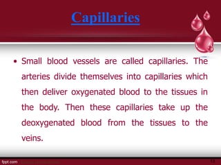 Transportation in animals and plants CLASS VII | PPT