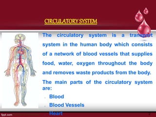 Transportation in animals and plants CLASS VII | PPT