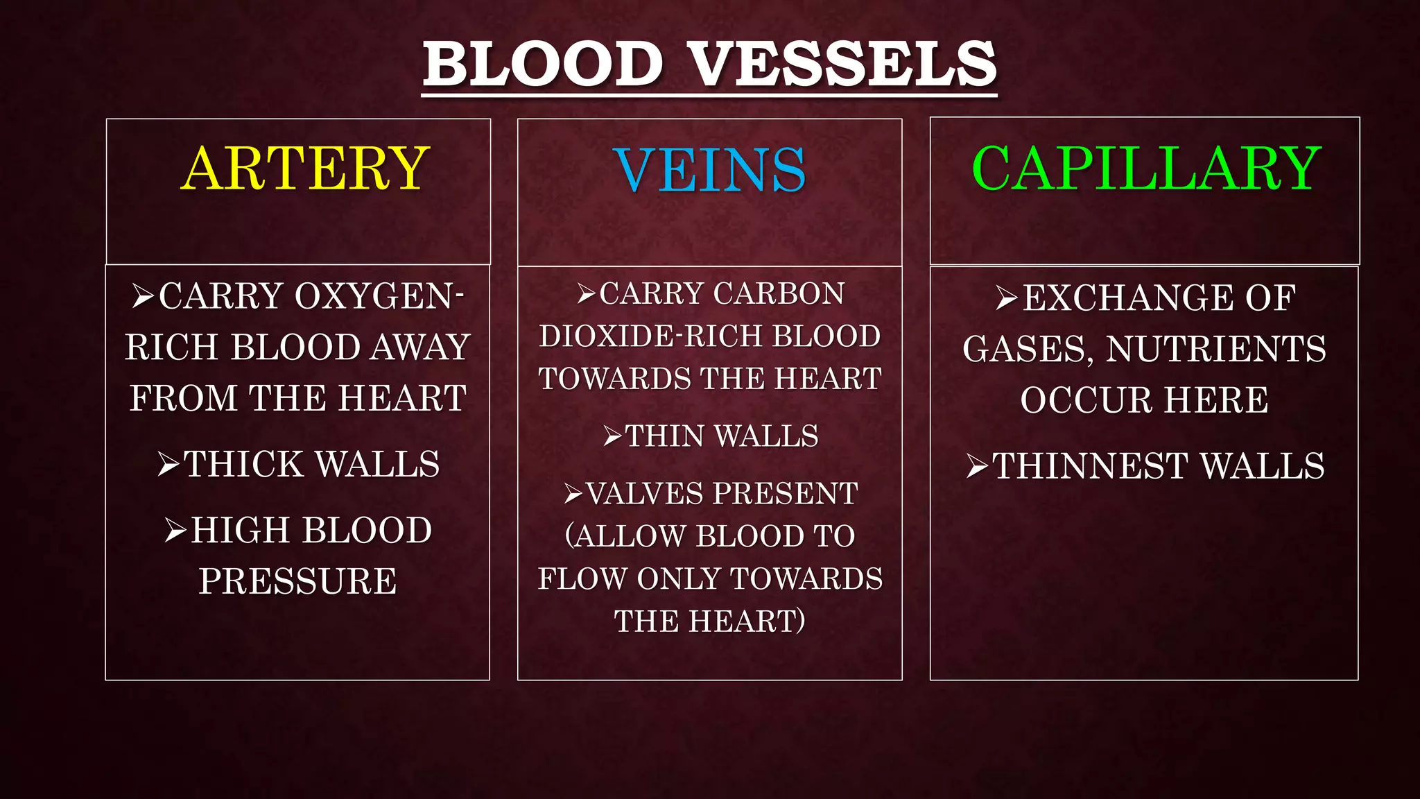 TRANSPORTATION IN ANIMALS AND PLANTS | PPTX