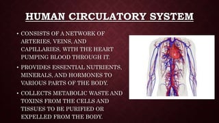 TRANSPORTATION IN ANIMALS AND PLANTS | PPTX