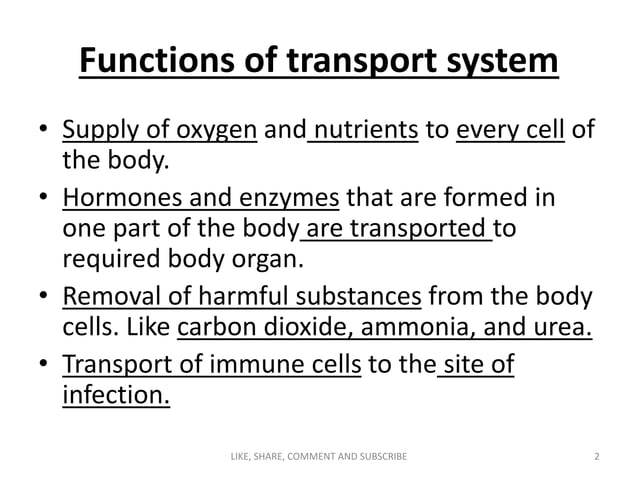 Transportation in humans (part 1) grade 7 notes | PPTX | Blood ...