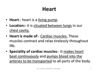 Transportation in humans(part 2) | PPTX | Heart and Cardiovascular ...