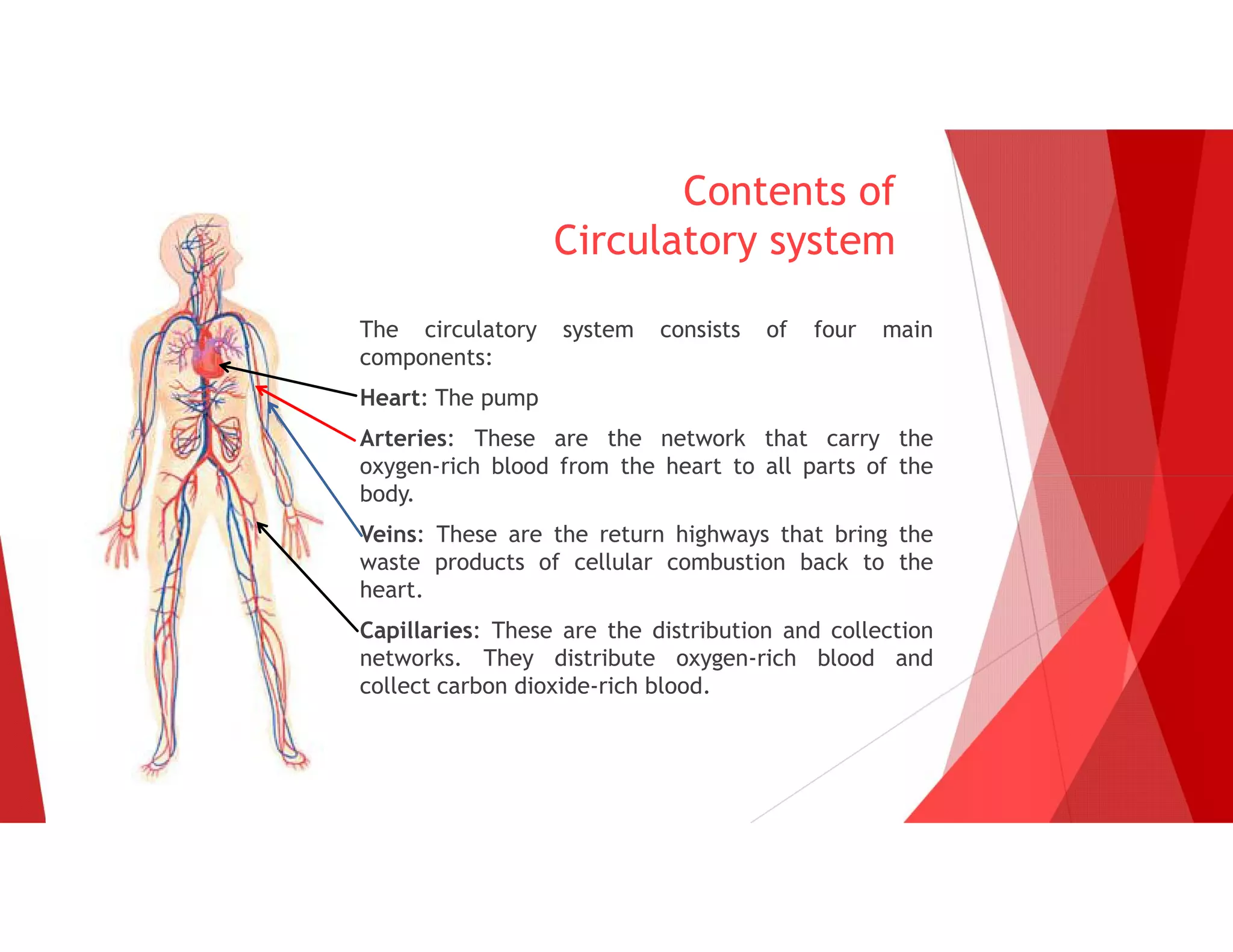 Transportation in organisms | PDF