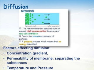 Transportation in plants | PPTX