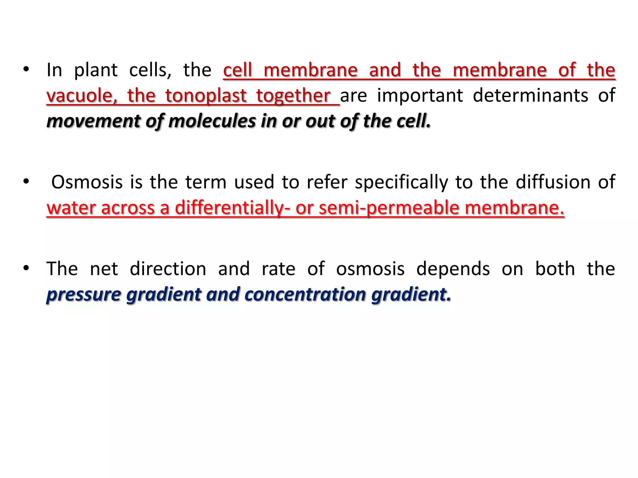 Transport in plants chapter 11 - ncert | PPTX
