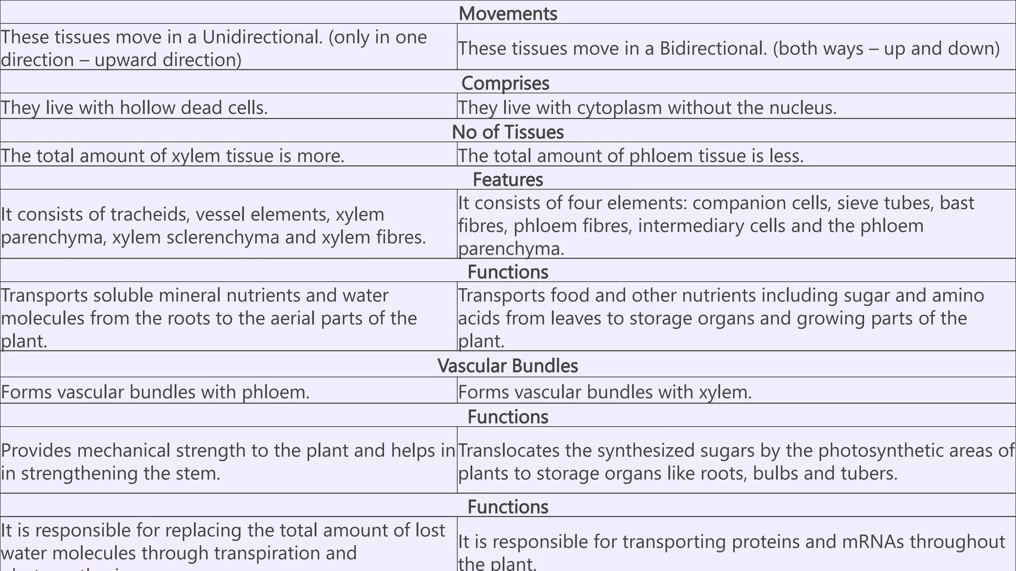 Transportation In Plants.pptx