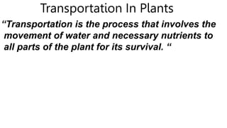Transportation In Plants.pptx