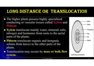 Transportation in plants review | PDF
