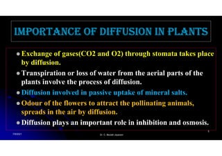 Transportation in plants review | PDF