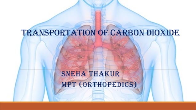 Transportation of carbon dioxide (physiology) | PPTX