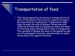 Transportation of materials in plants and animals | PPT