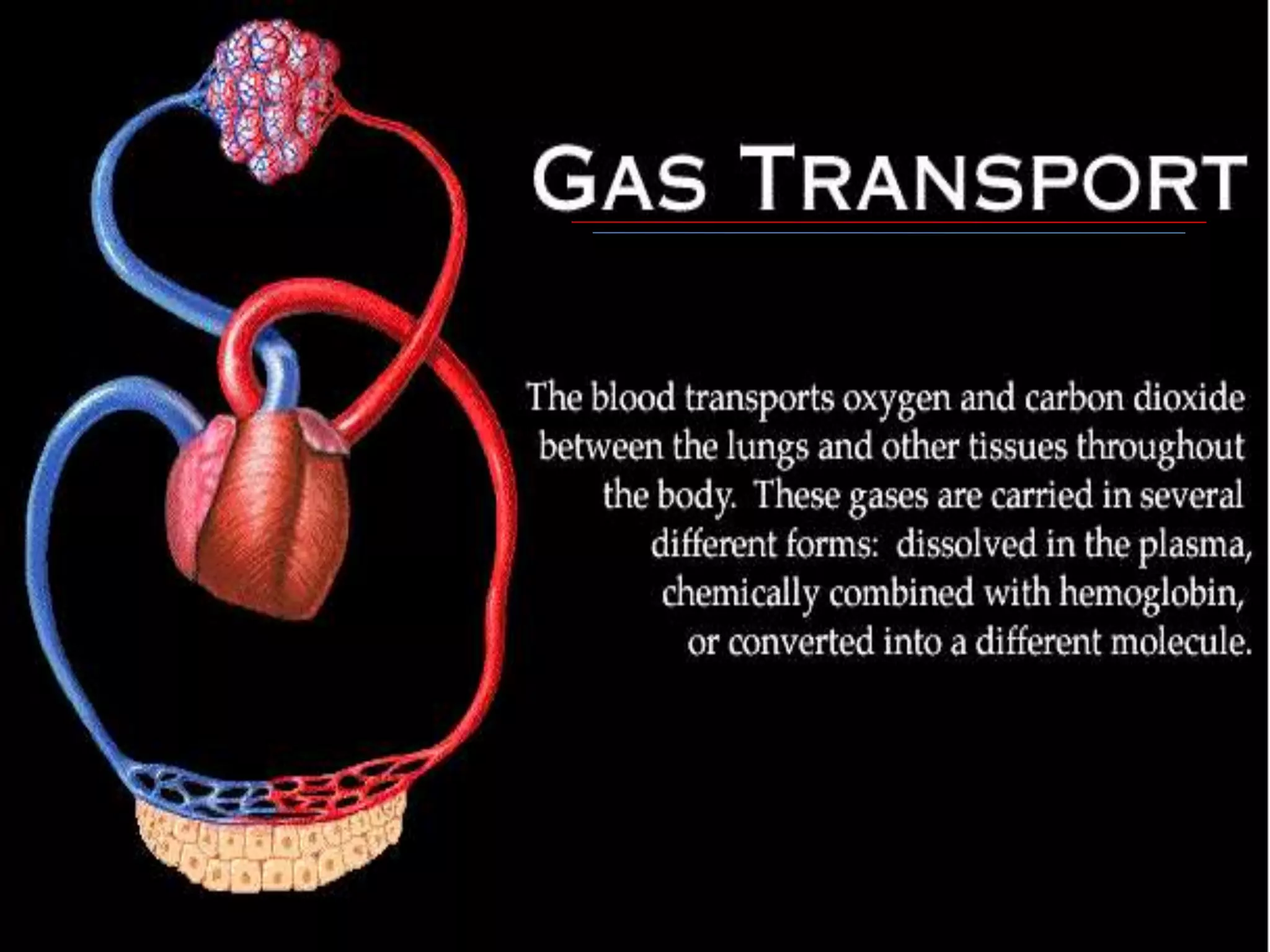 Transportation of oxygen and co2 | PPTX